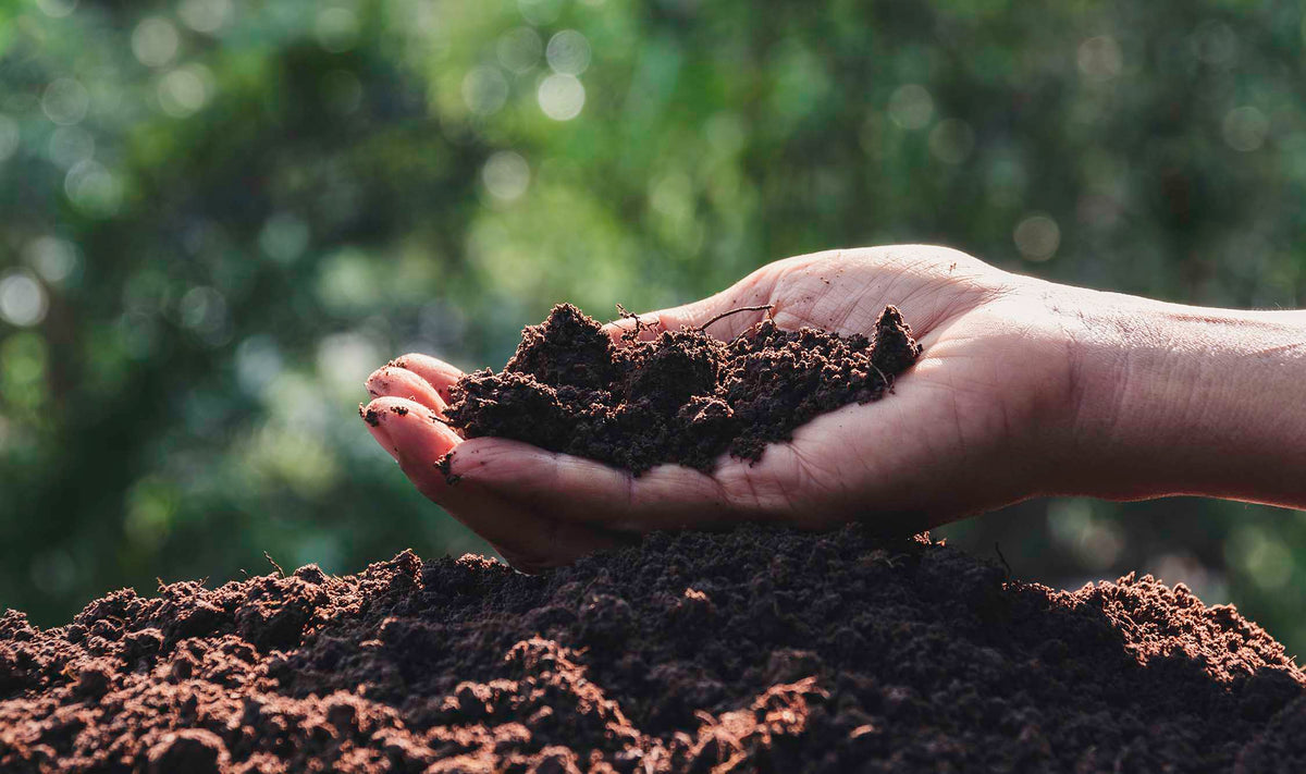 FOGO Compost Now Available! — Marketplace Supplies